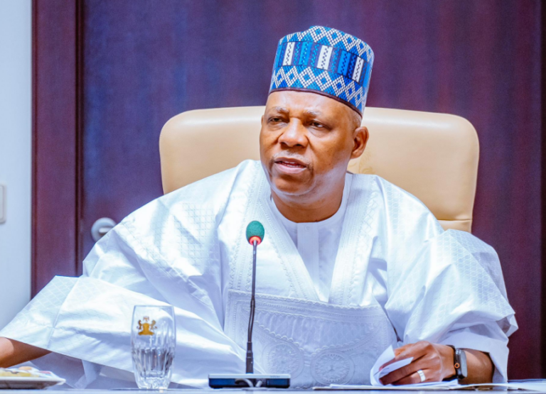 Borno attacks: We won’t allow terrorists occupy Nigerian soil ...
