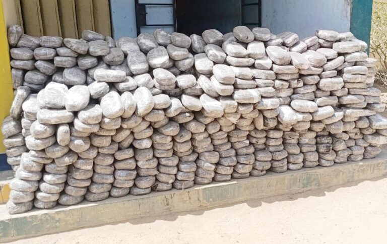 Kano: Police nab drug dealer, recover 879 parcels of cannabis sativa ...
