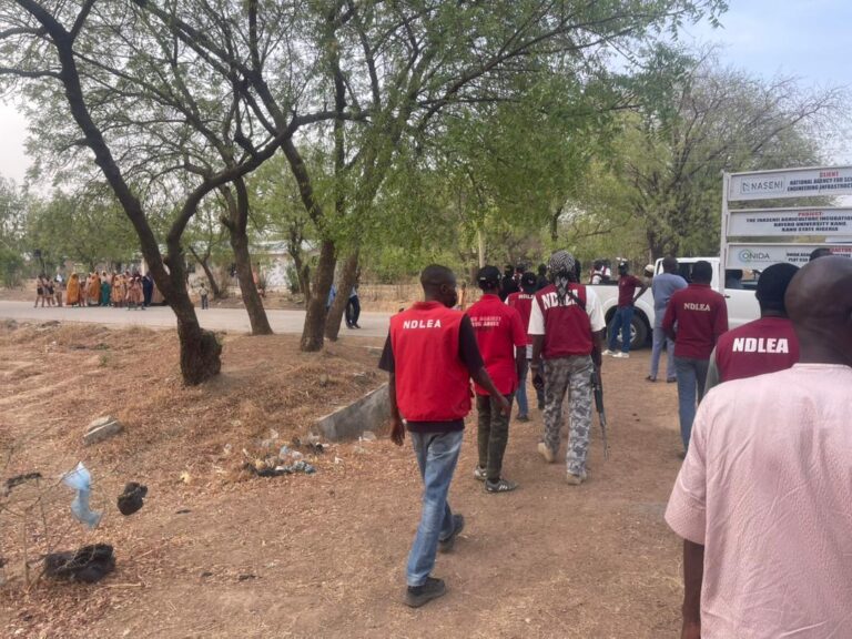 NDLEA nabs six drug peddlers in Bayero varsity – P.M. News