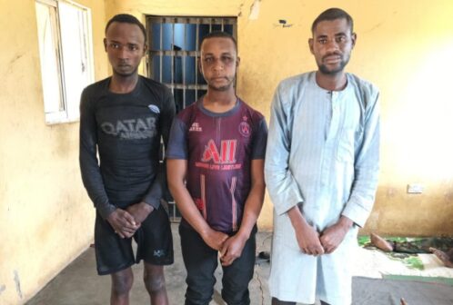 Troops nab suspected terrorists, informants in Niger operations – P.M. News