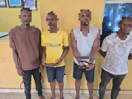 Four suspected cultists arrested, guns recovered in Lagos raid – P.M. News